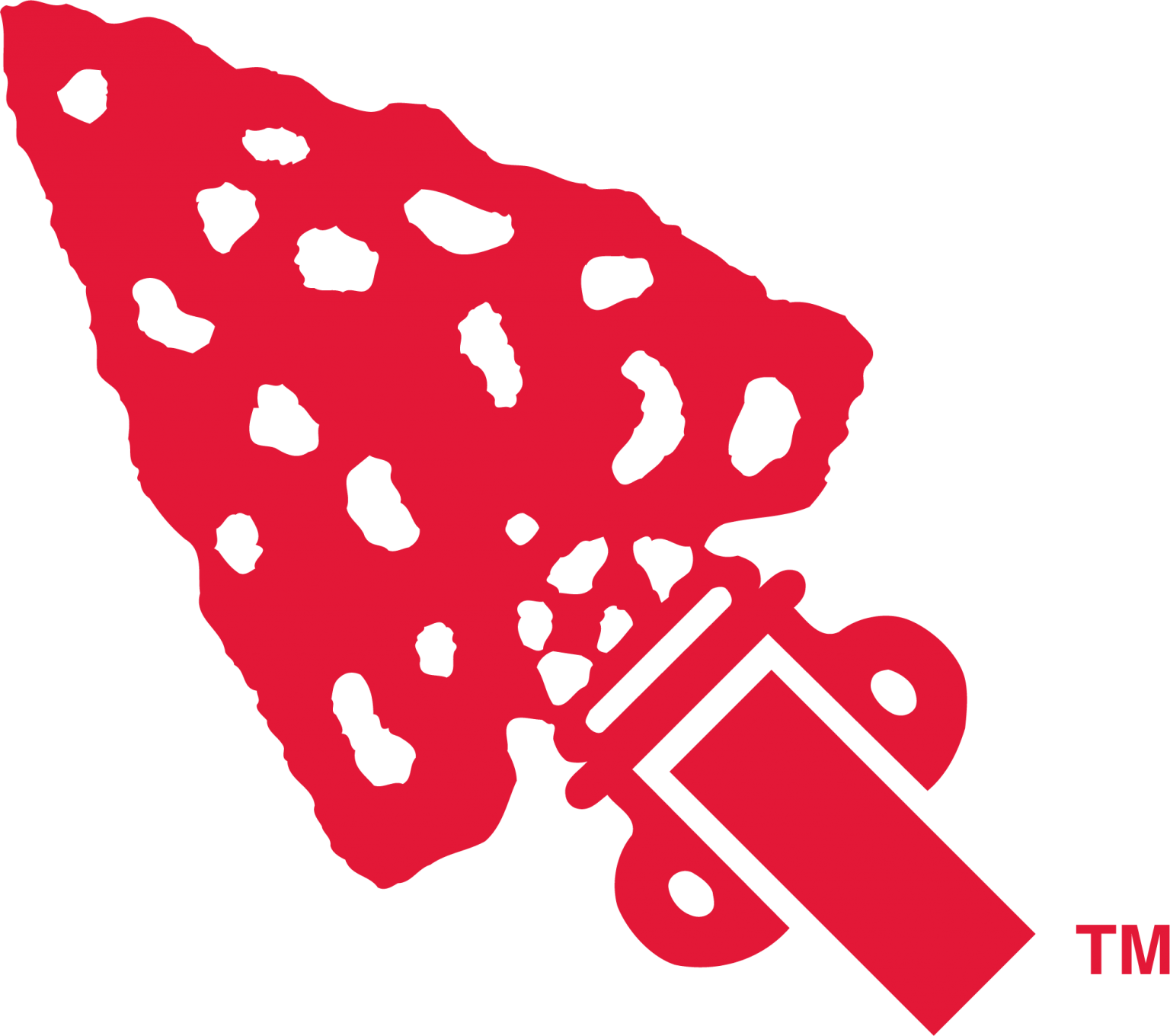 Program – Section G17N